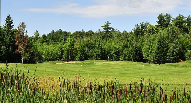 The Homestead at Wolf Ridge Golf Club - Colliers Niagara